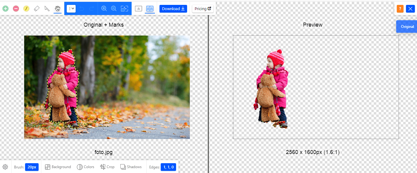 4 Cara Menghilangkan Background Foto Secara Online
