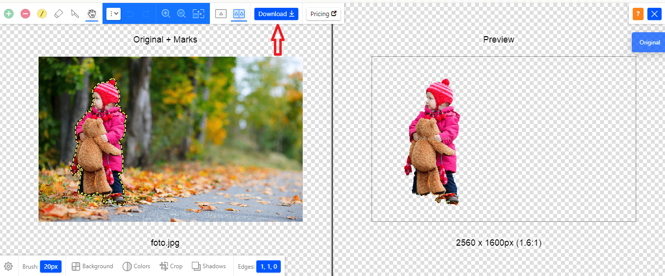 4 Cara Menghilangkan Background Foto Secara Online