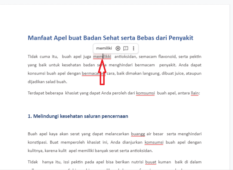3 Cara Mengecek Typo Teks Bahasa Indonesia Secara Online