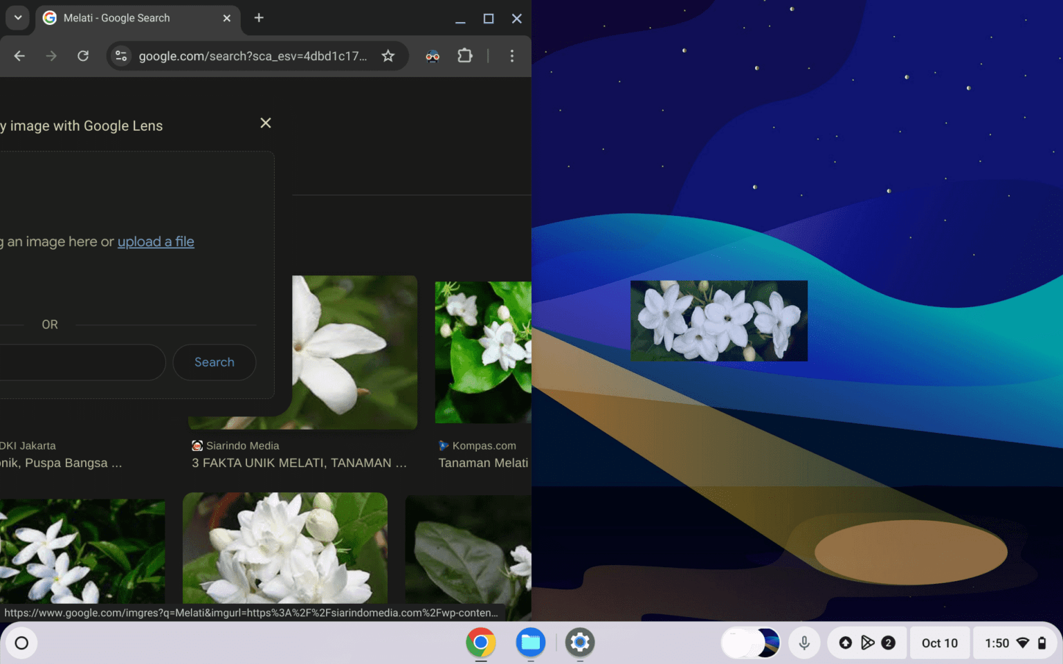 Cara Simpan Gambar dari Google ke Chromebook